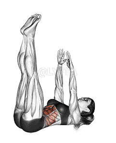 Seated Leg Raise - Video Guide | Lyfta