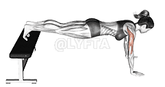 Flexiones inclinadas - Guía en Video | Lyfta