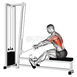 Pulldown - Video Guide | Lyfta