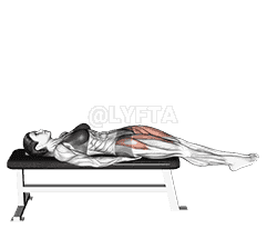 Flutter Kicks - Video Guide | Lyfta