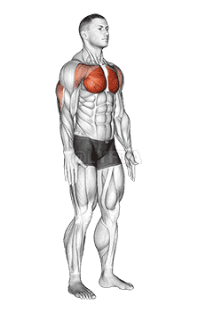 Push-up - Video Guide | Lyfta