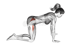 Lever Seated Hip Abduction - Video Guide | Lyfta