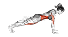 Single Leg Stretch - Video Guide | Lyfta