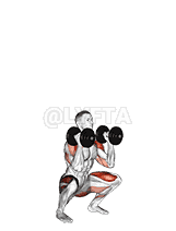 Goblet Squat - Video Guide | Lyfta