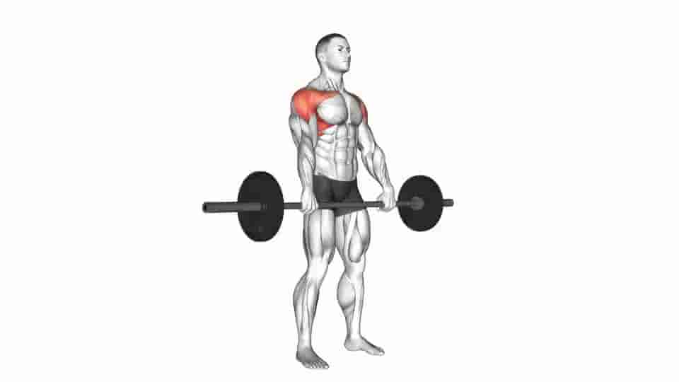 Elevación frontal con barra - Guía en Video | Lyfta