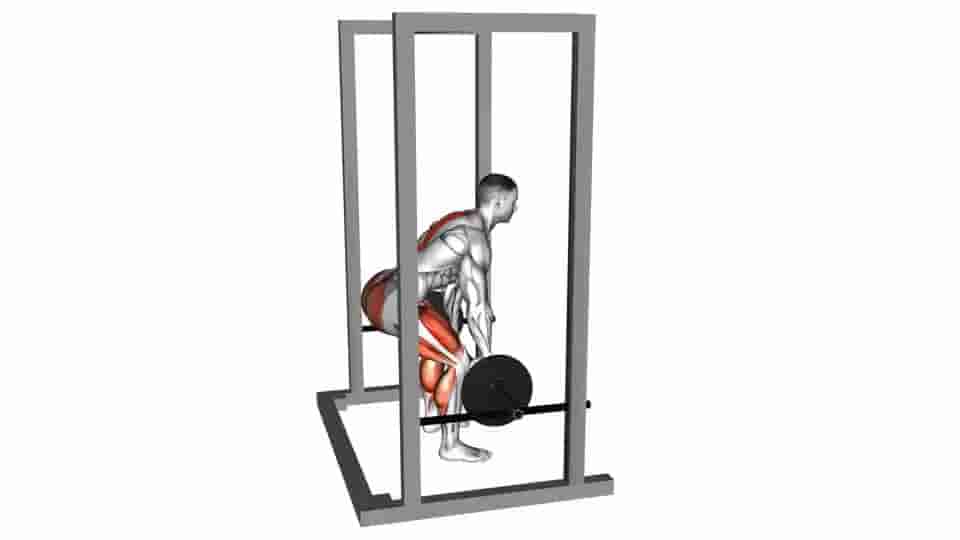 Barbell Rack Pull - Video Guide | Lyfta