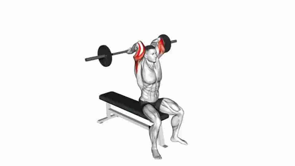 Barbell Seated Overhead Triceps Extension - Video Guide | Lyfta