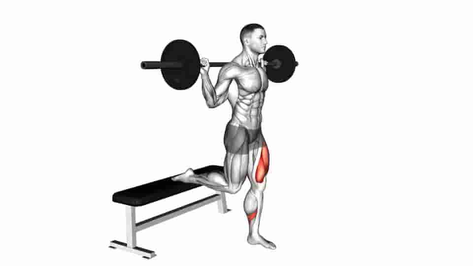 Barbell Single Leg Split Squat - Video Guide | Lyfta