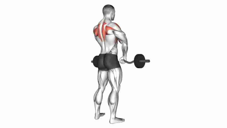 Barbell Upright Row - Video Guide | Lyfta
