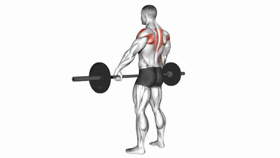 Barbell Wide-grip Upright Row - Video Guide | Lyfta