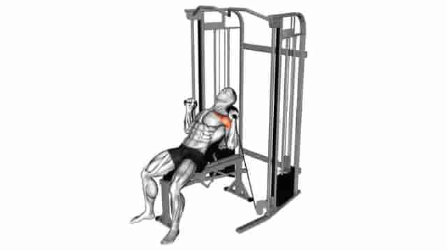 Cable Incline Bench Press - Video Guide | Lyfta