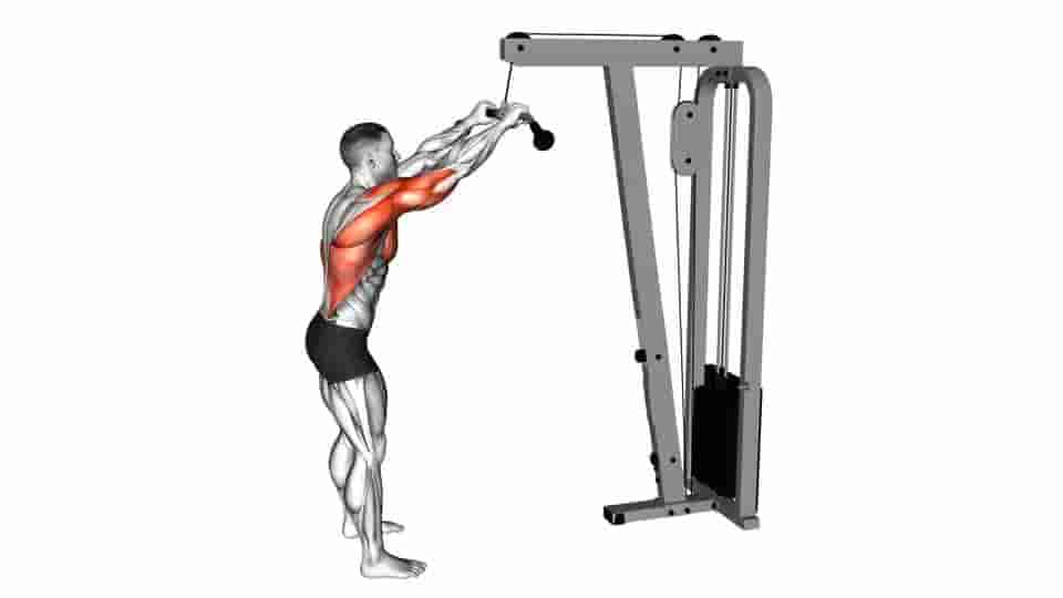 Cable Pushdown - Video Guide | Lyfta