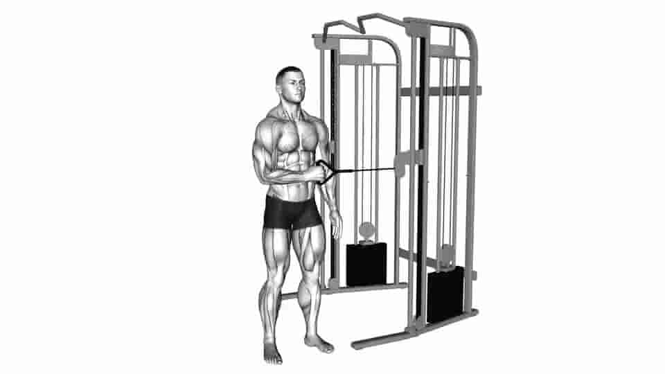Cable Standing Shoulder External Rotation - Video Guide | Lyfta