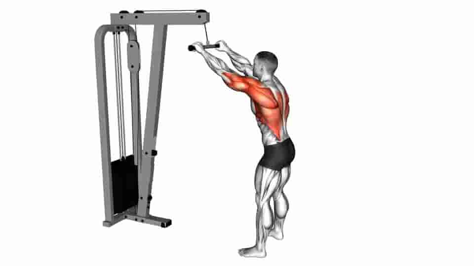 Straight Arm Pulldown - Video Guide | Lyfta