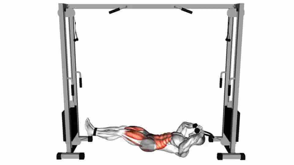 Cable Tuck Reverse Crunch - Video Guide | Lyfta