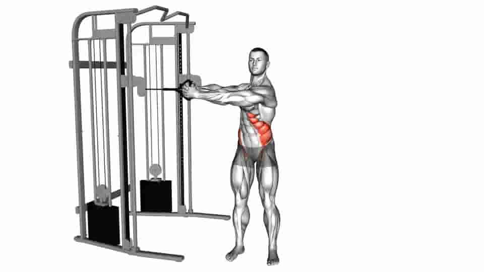 Cable Twist - Video Guide | Lyfta