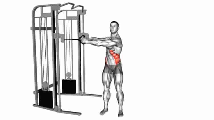 Cable Twist - Video Guide | Lyfta