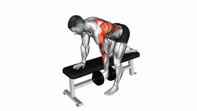 One Arm Bent-over Row - Video Guide | Lyfta