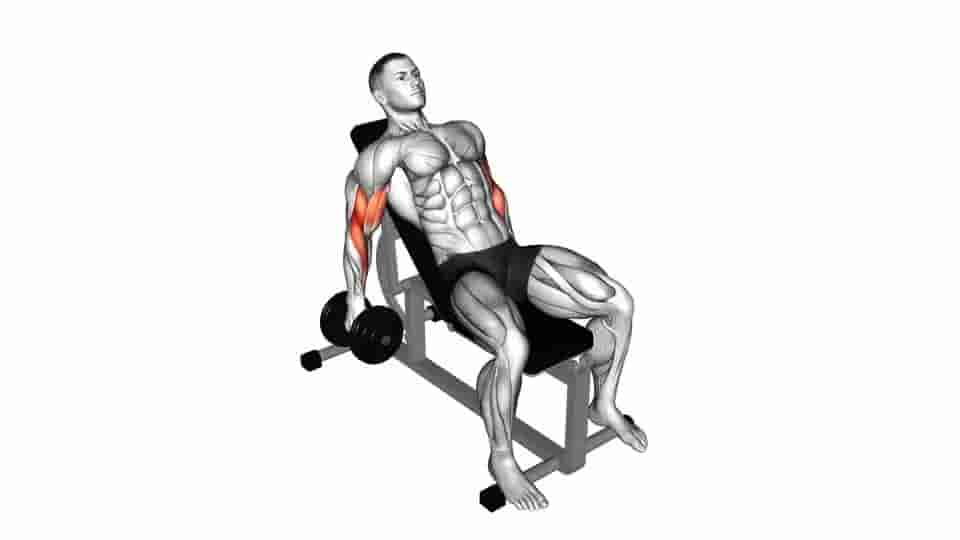 Dumbbell Incline Curl - Video Guide | Lyfta