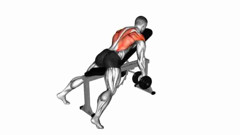 Incline Row - Video Guide | Lyfta