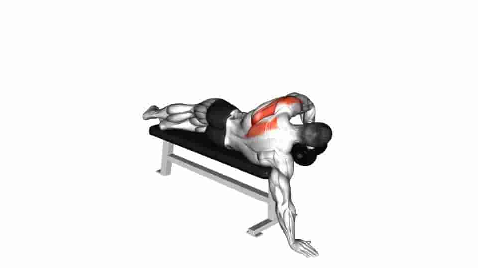 Dumbbell Lying One Arm Deltoid Rear - Video Guide | Lyfta