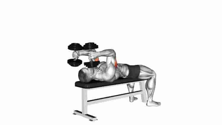 Lying Triceps Extension - Video Guide | Lyfta