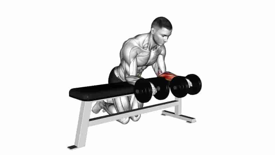 Dumbbell Over Bench Revers Wrist Curl - Video Guide | Lyfta