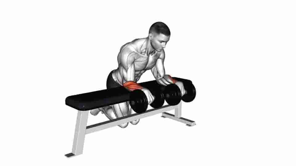 Dumbbell Over Bench Wrist Curl - Video Guide | Lyfta