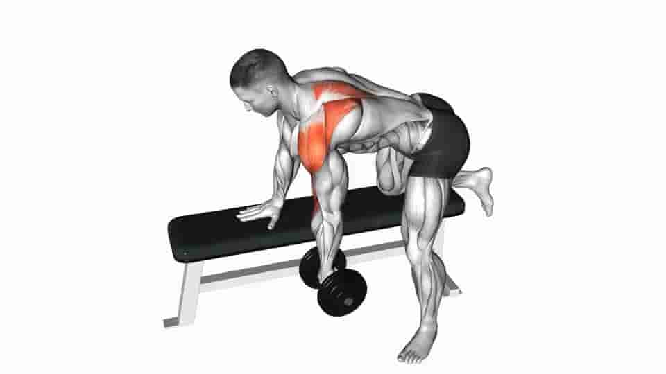 Dumbbell Rear Delt Row_shoulder - Panduan Video | Lyfta