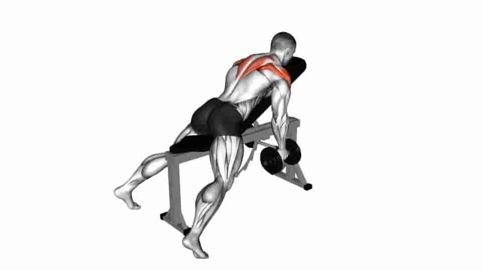 Dumbbell Reverse Fly - Video Guide | Lyfta