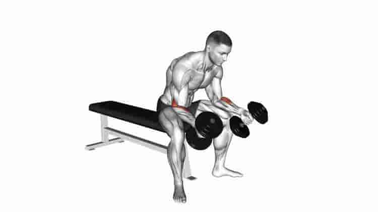 Seated Neutral Wrist Curl - Video Guide | Lyfta