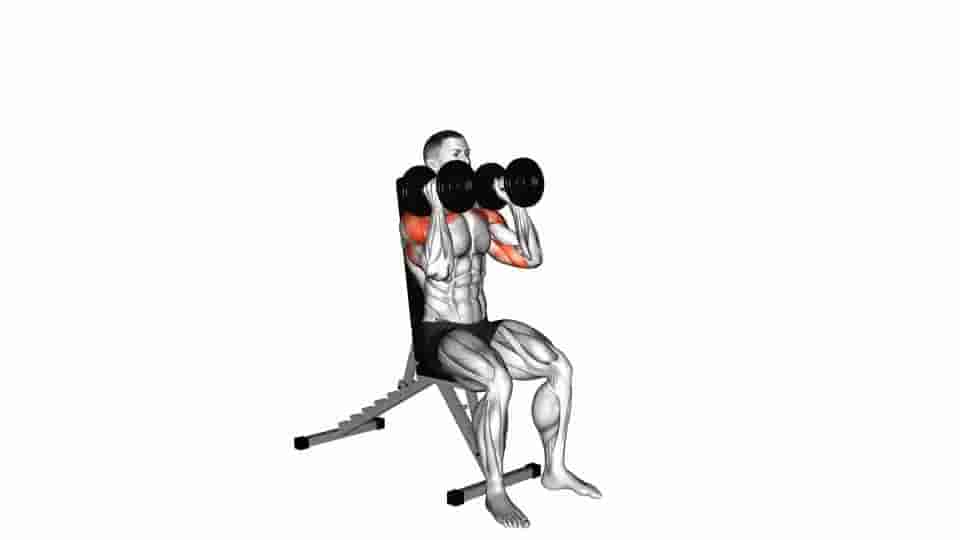 Dumbbell Seated Shoulder Press - Video Guide | Lyfta