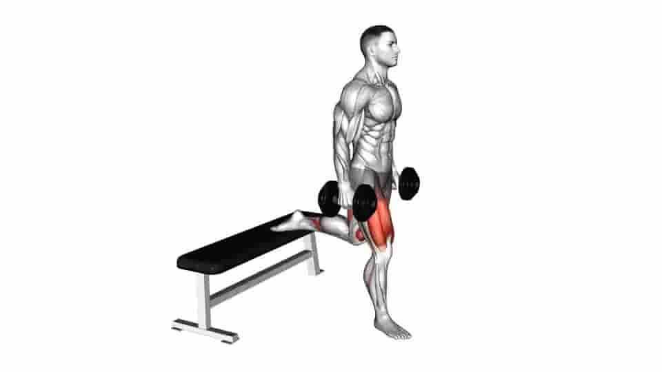 Dumbbell Single Leg Split Squat - Video Guide | Lyfta