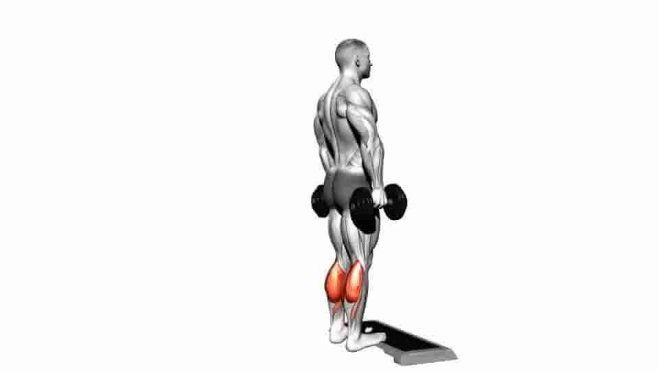 Standing Calf Raise - Video Guide | Lyfta