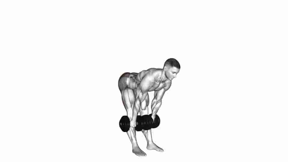 Dumbbell Stiff Leg Deadlift - Video Guide | Lyfta