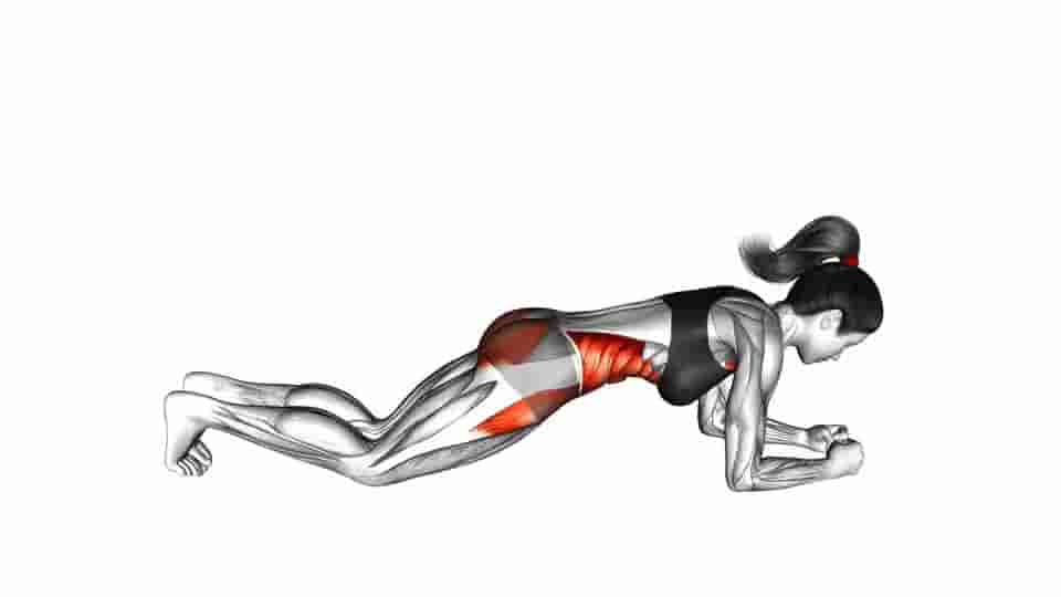 Front Plank - Video Guide | Lyfta