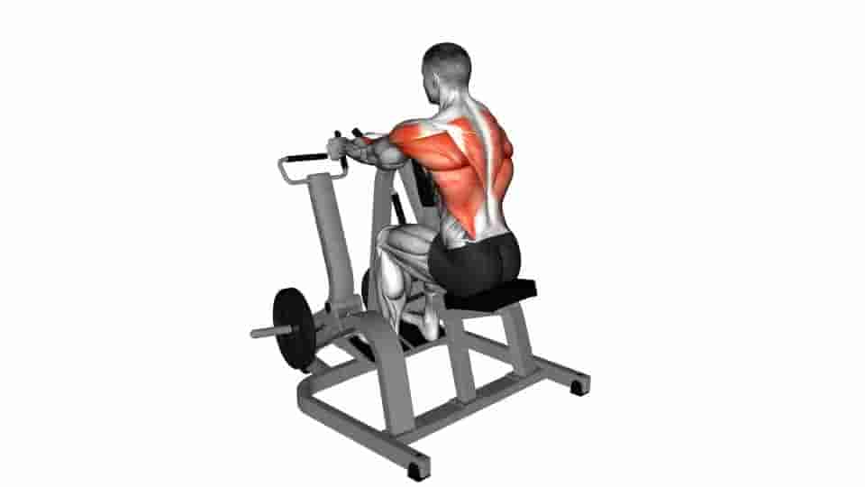 Remo sentado con agarre neutro y palanca - Guía en Video | Lyfta