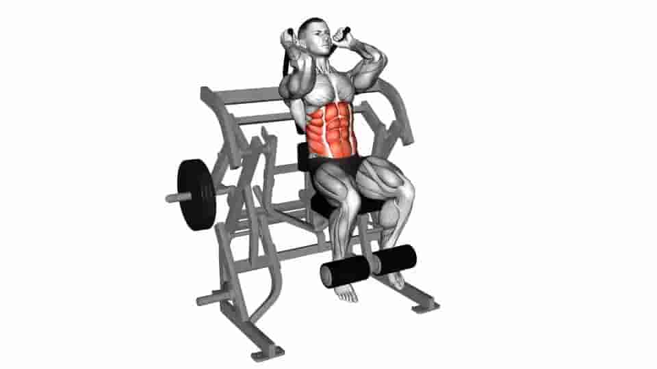 Lever Seated Leg Raise Crunch - Video Guide | Lyfta