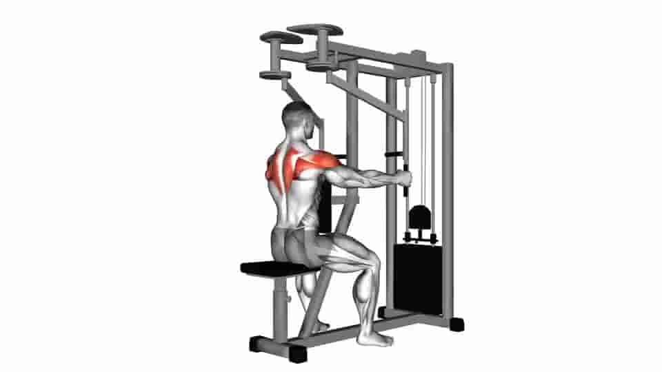 Lever Seated Reverse Fly - Video Guide | Lyfta