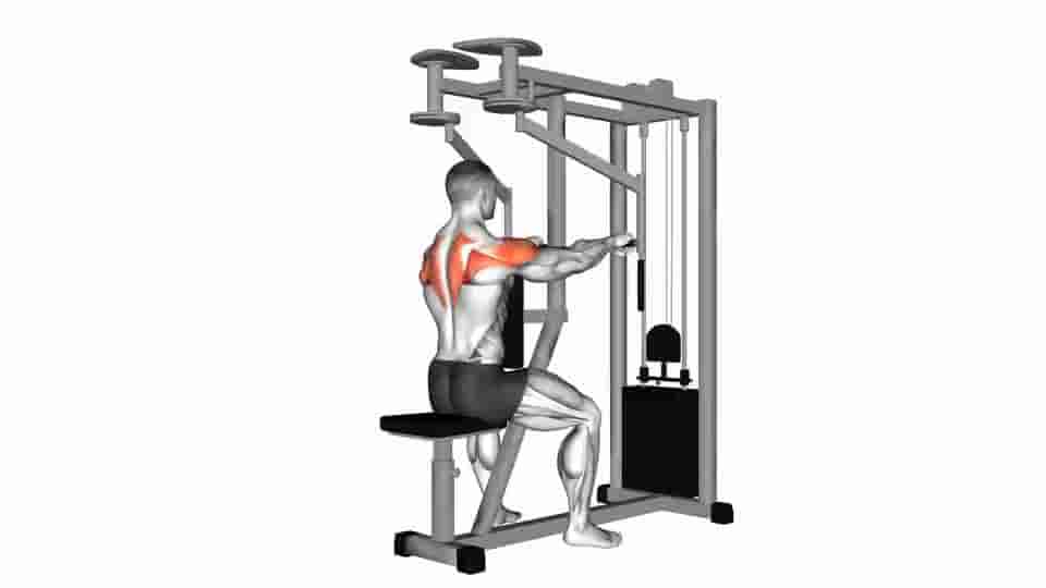 Lever Seated Reverse Fly - Video Guide | Lyfta