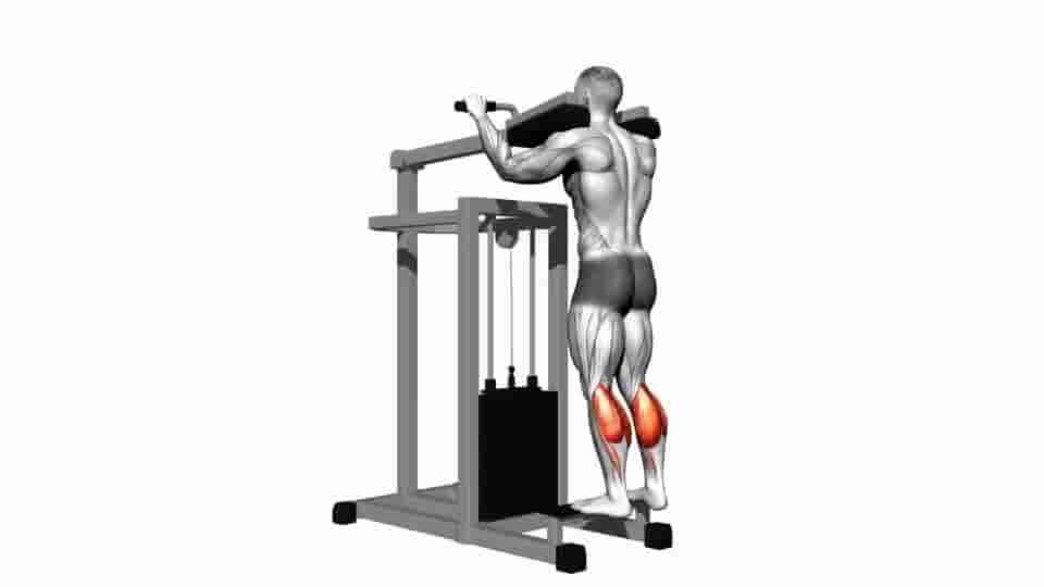 Lever Standing Calf Raise - Video Guide | Lyfta