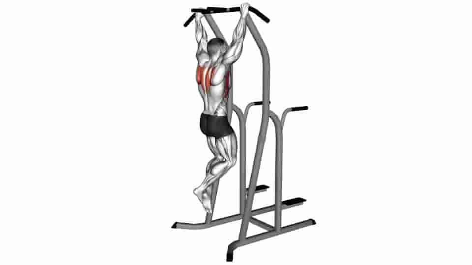 Scapular Pull-Up - Video Guide | Lyfta