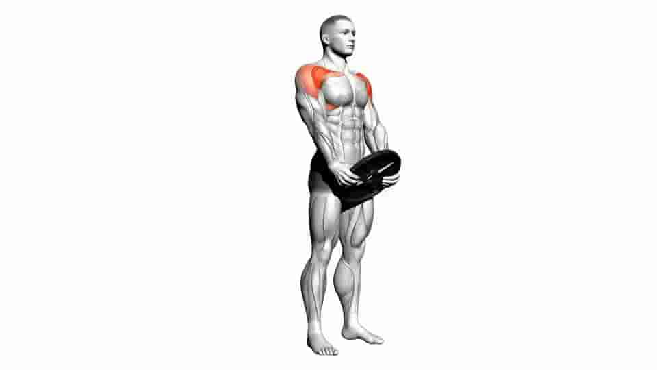 Weighted Front Raise - Video Guide | Lyfta