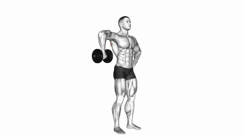 Dumbbell Upright Shoulder External Rotation - Video Guide | Lyfta