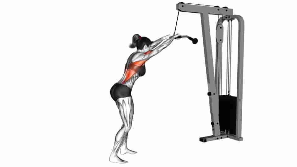 Cable straight arm pulldown - Video Guide | Lyfta