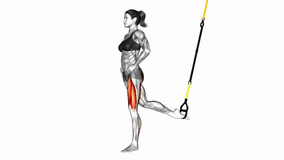 Suspension Single Leg Split Squat - Video Guide | Lyfta