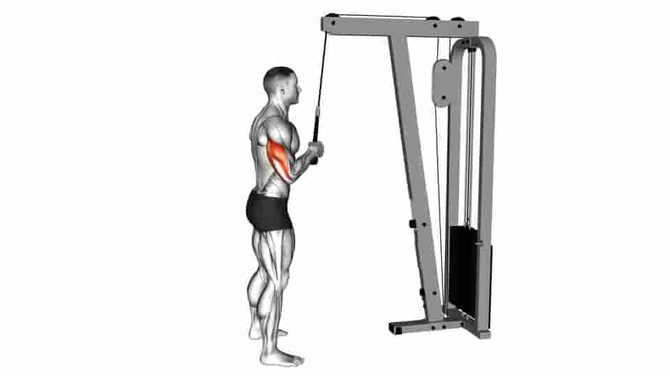 Cable Standing One Arm Tricep Pushdown - Video Guide | Lyfta