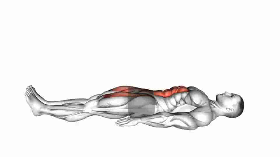 Lying Leg Raise and Hold - Video Guide | Lyfta