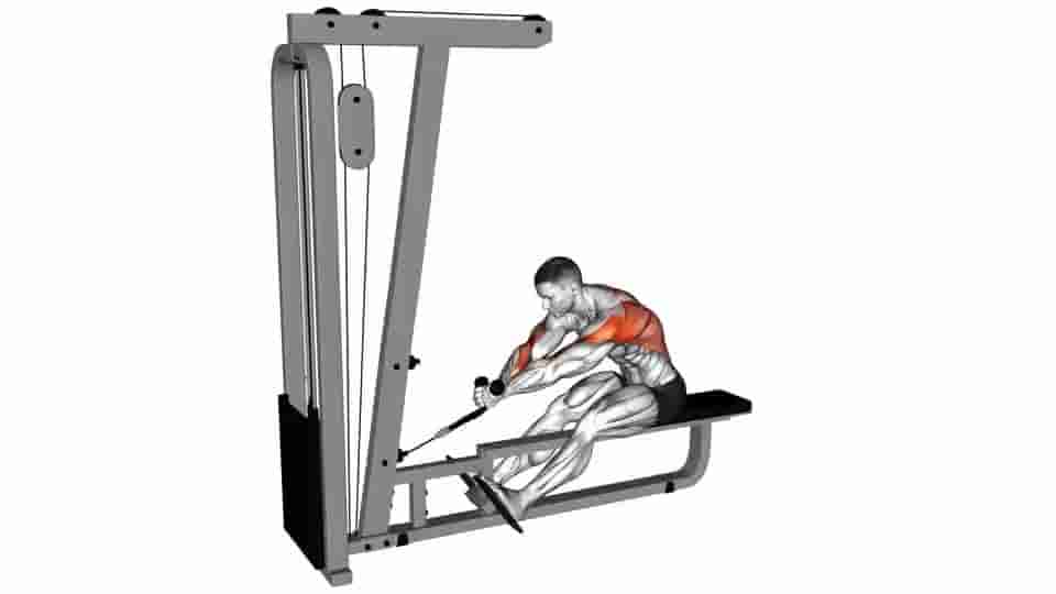 Cable Rope Crossover Seated Row - Video Guide | Lyfta