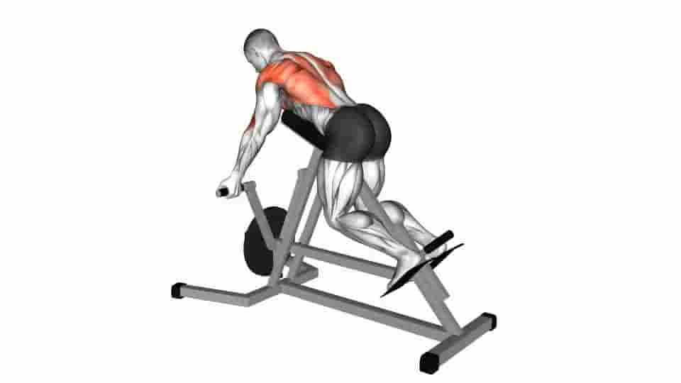 Lever Reverse T-Bar Row - Video Guide | Lyfta